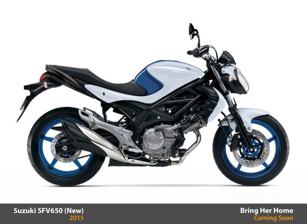 Buy Suzuki SFV650 ABS 2015 | New Road Bike for Sale